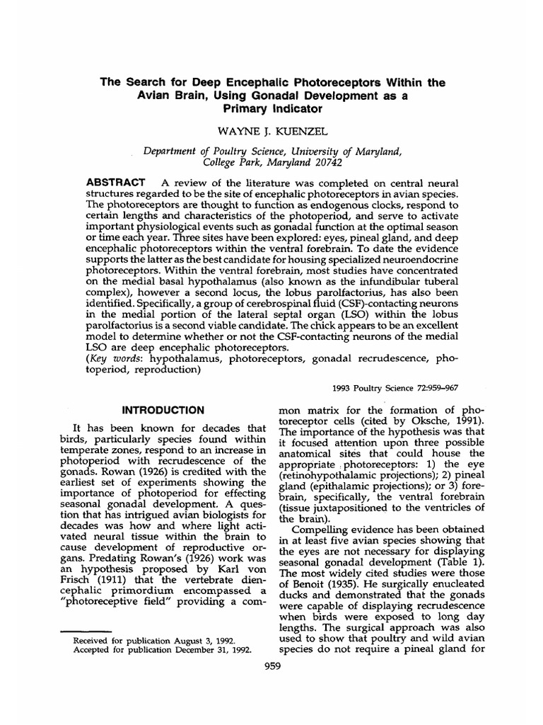 The Search for Deep Encephalic Photoreceptors Within the Avian Brain ...