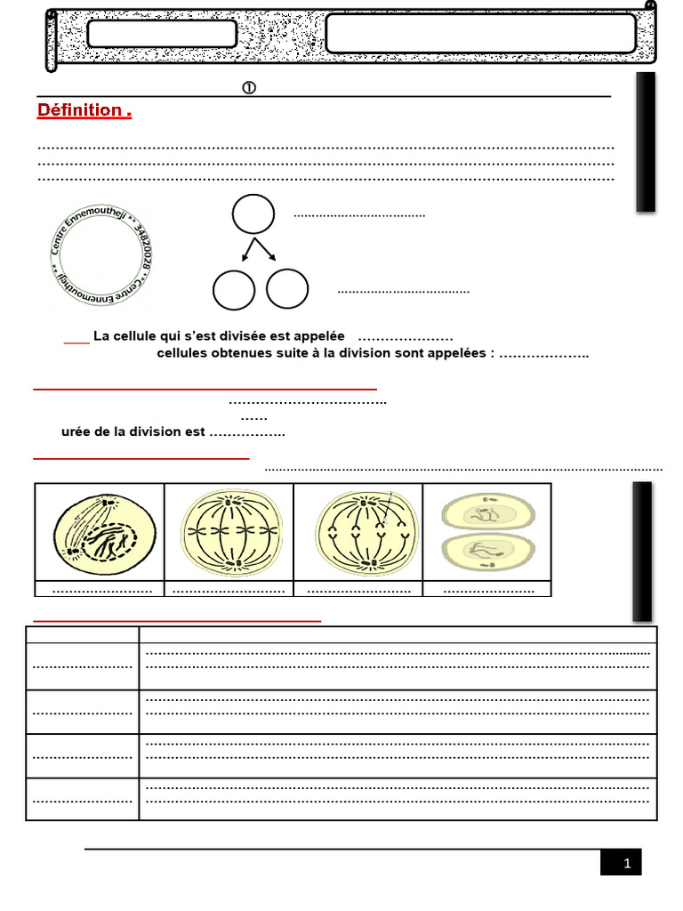 Division Cellulaire 1 | PDF