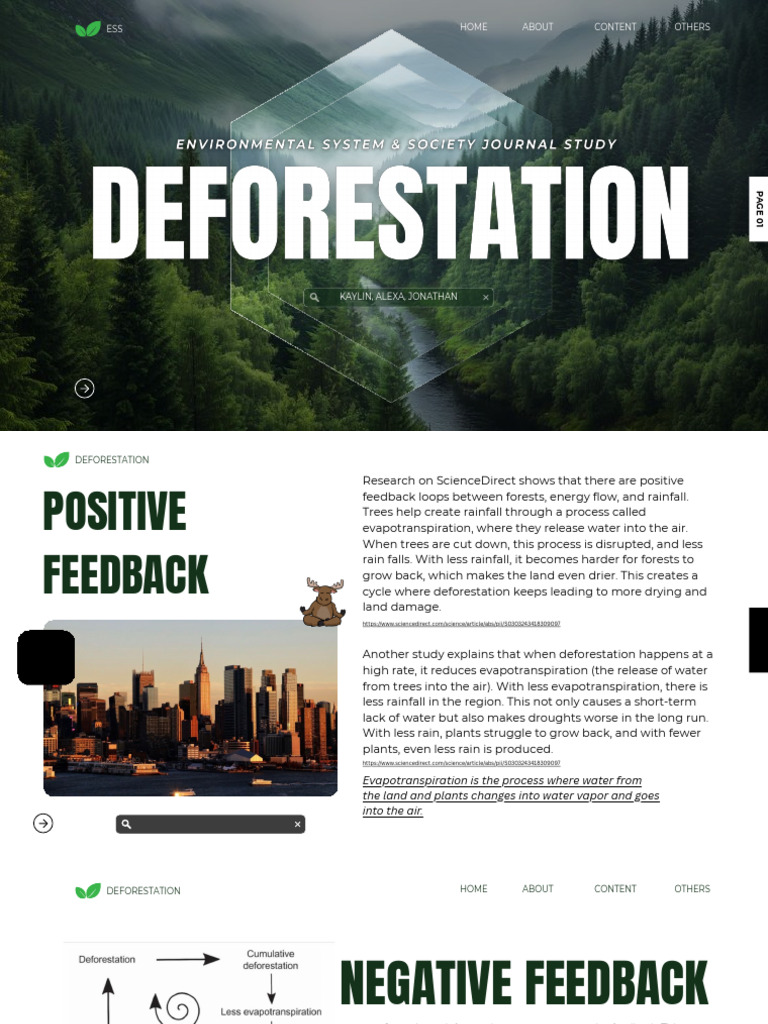 Deforestation.pdf | PDF | Deforestation | Rain