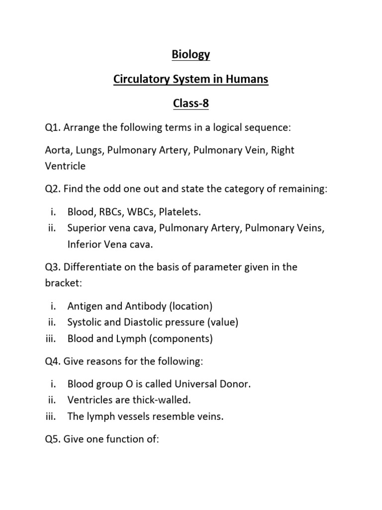 Circulatory System Questions Class 8 | PDF