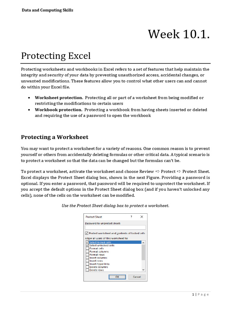 Protecting Excel Worksheets & Workbooks | PDF | Microsoft Excel | Worksheet