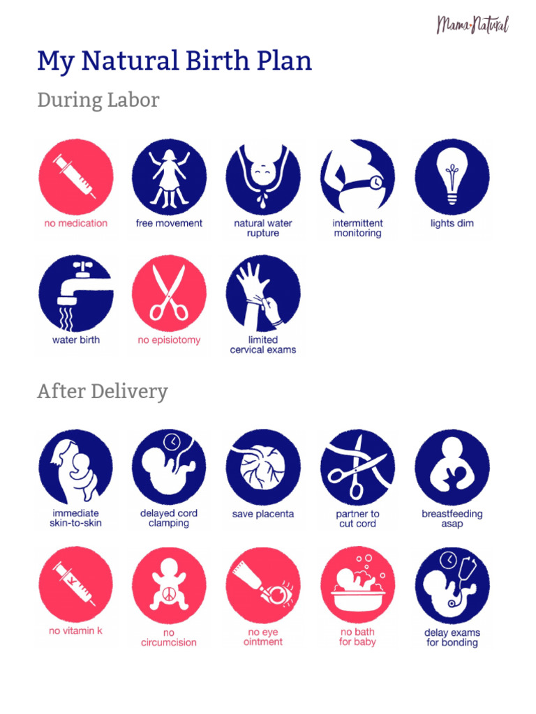 Visual Birth Plan Mama Natural | PDF