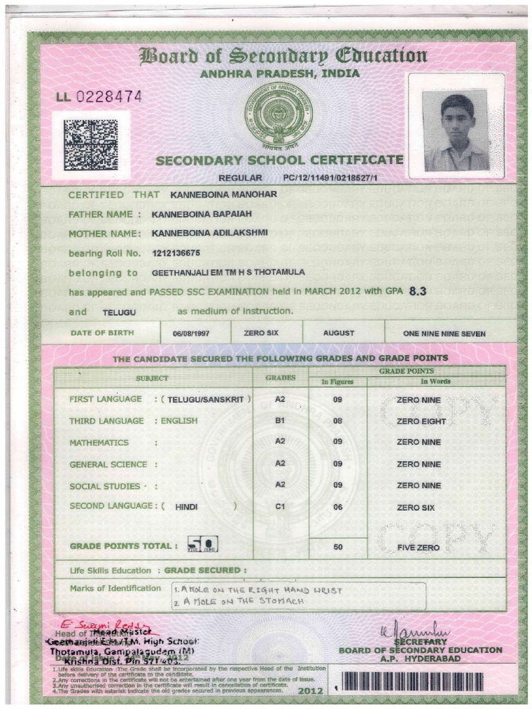 Board Certificate | PDF