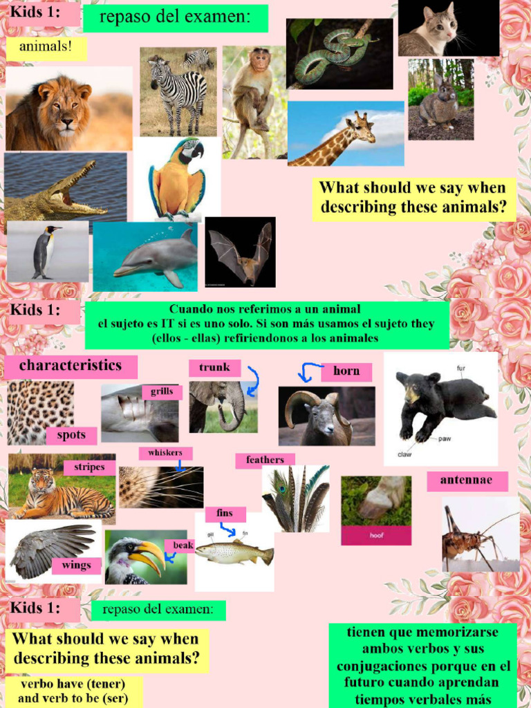 Kids 1 Animales Vocabulario | PDF
