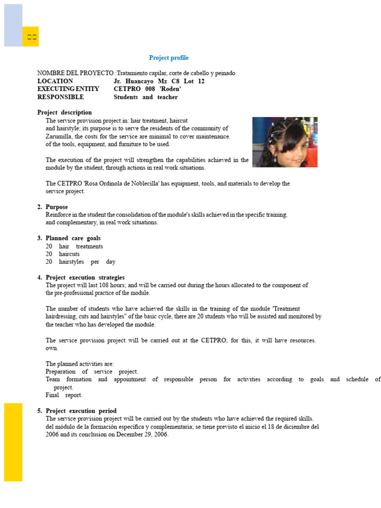 Hair Treatment and Styling Project Plan | PDF | Hairstyle | Beauty