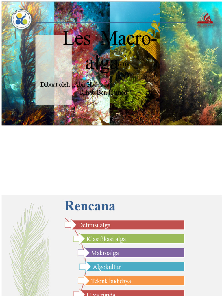 makro-alga | PDF