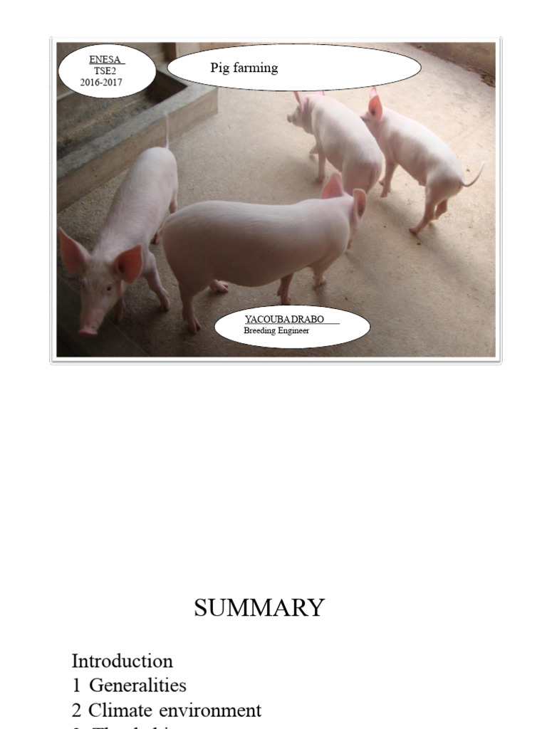 Comprehensive Guide to Pig Farming | PDF | Pig | Pork