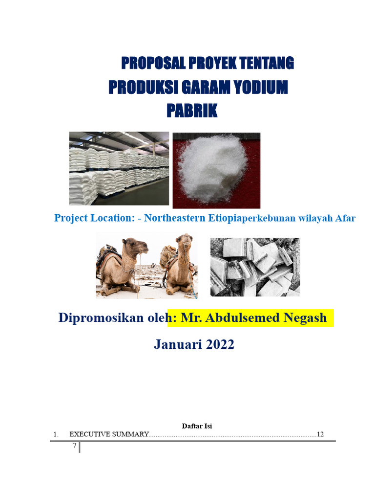 Proposal Pabrik Garam Yodium Ethiopia | PDF