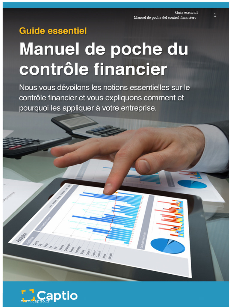 Guía de Control Financiero Esencial | PDF | Hoja de balance | Contabilidad