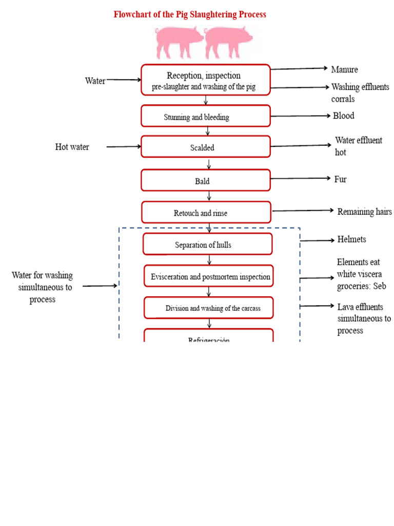 Pig Slaughtering Process Flowchart | PDF