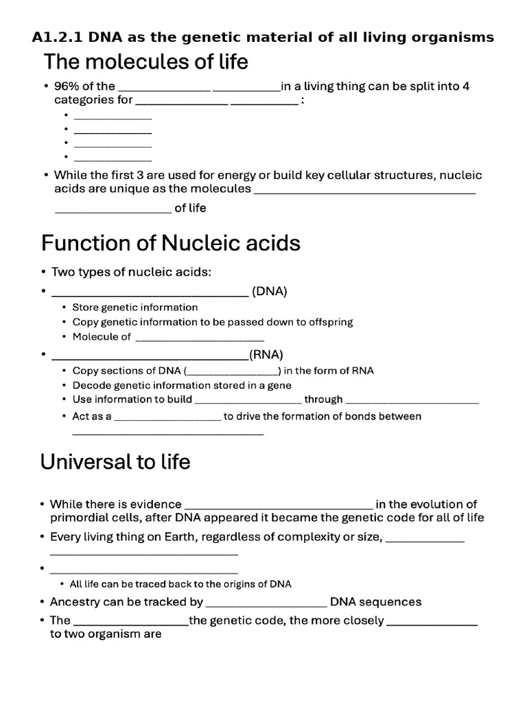 A1.2 Nucleic Acids Guided Notes | PDF