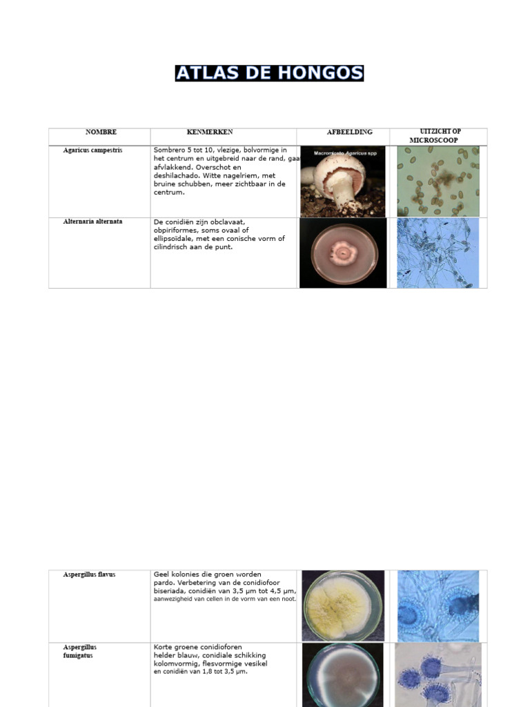 Atlas van Filamenteuze Schimmels | PDF