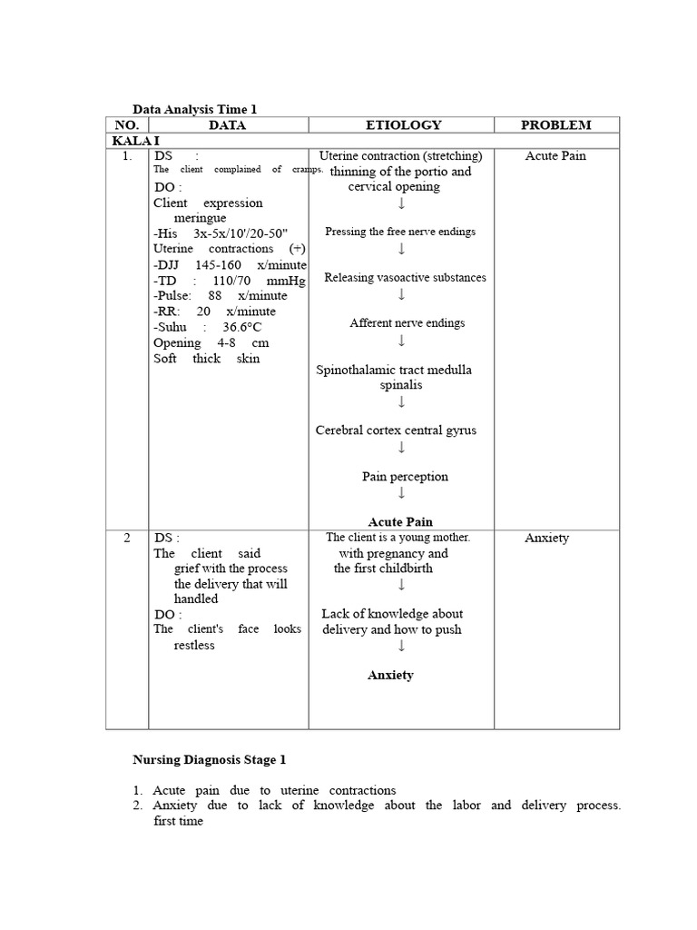 Intrapartum Nursing Care | PDF | Childbirth | Pain