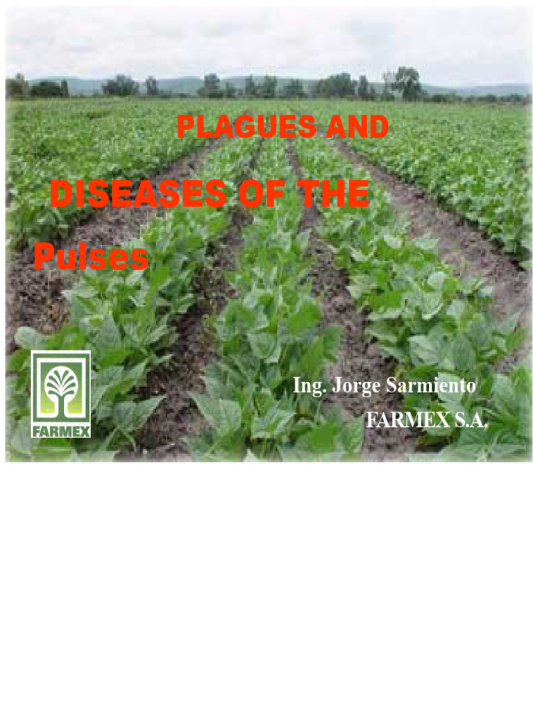Pests and Diseases of Grain Legumes | PDF | Legume | Pest (Organism)