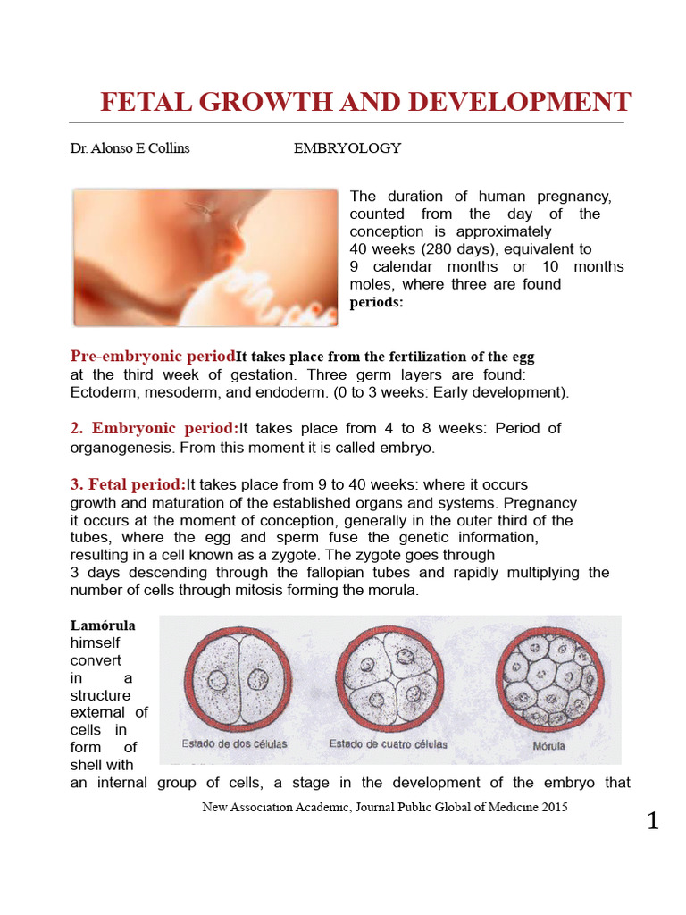 FETAL GROWTH AND DEVELOPMENT | PDF | Prenatal Development | Embryo