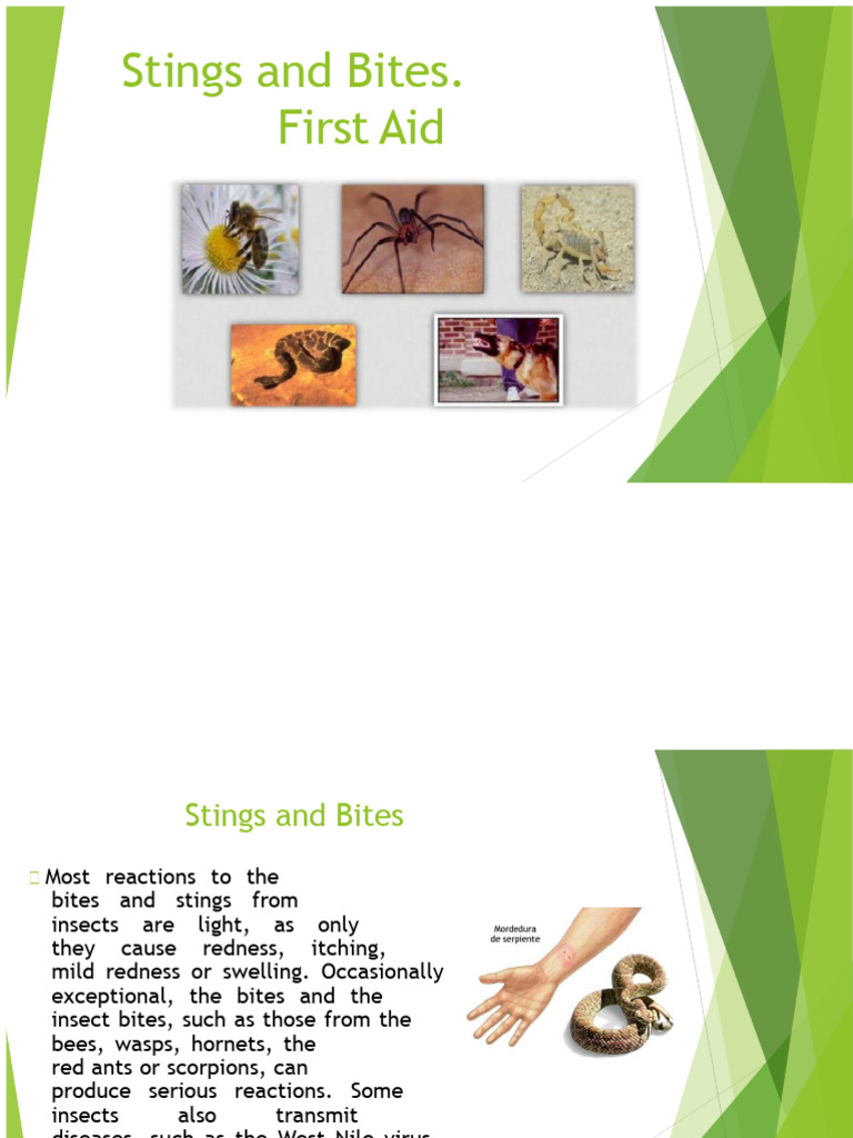 Stings and Bites | PDF | Medicine | Medical Specialties