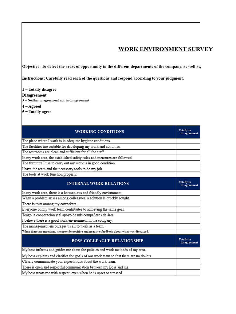 Work Environment Survey | PDF | Occupational Safety And Health | Leadership