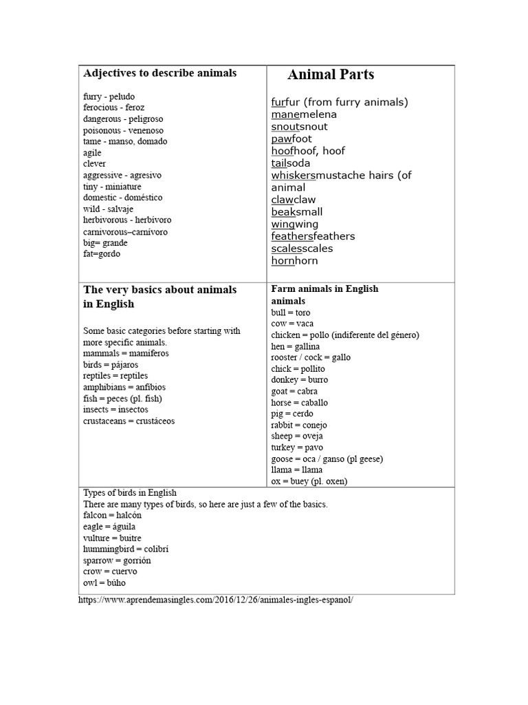 Animal Descriptive Adjectives & Terms | PDF | Zoology | Birds