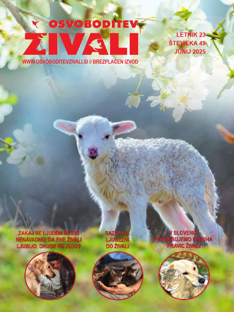 Revija 49 | PDF