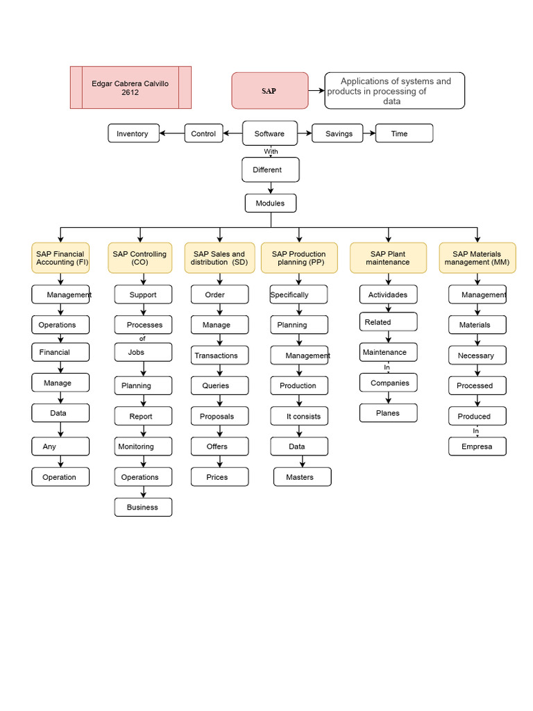 Conceptual Map SAP | PDF