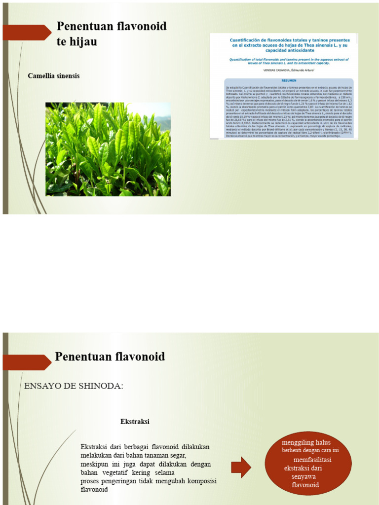 Ekstraksi Flavonoid dari Teh Hijau | PDF