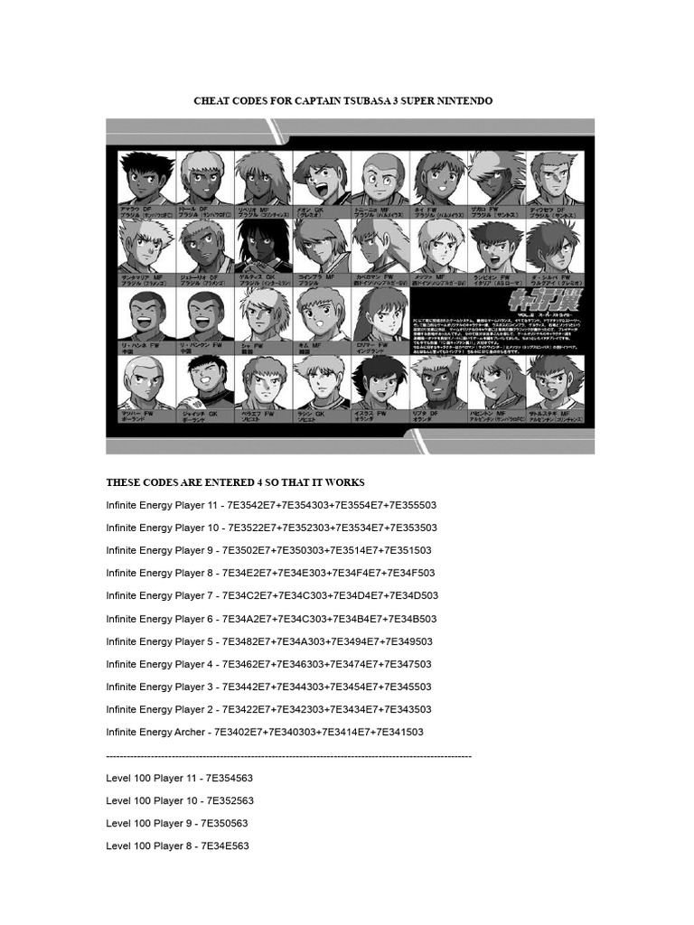 Captain Tsubasa 3 Cheat Codes Guide | PDF
