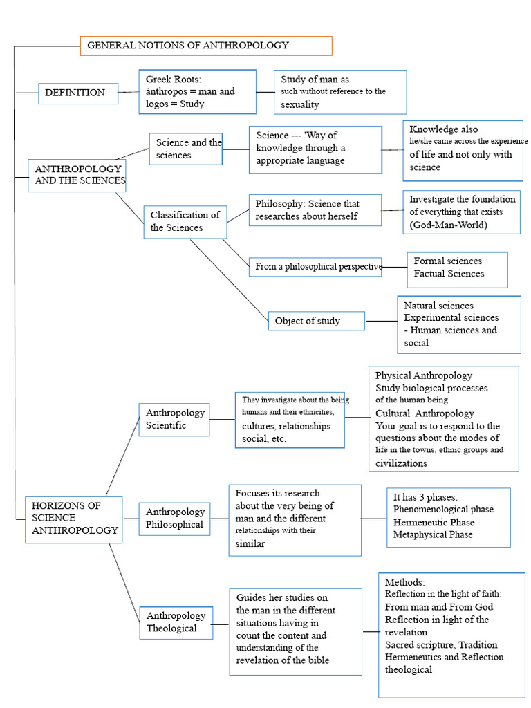 Graphic Organizer Anthropology | PDF | Science | Anthropology