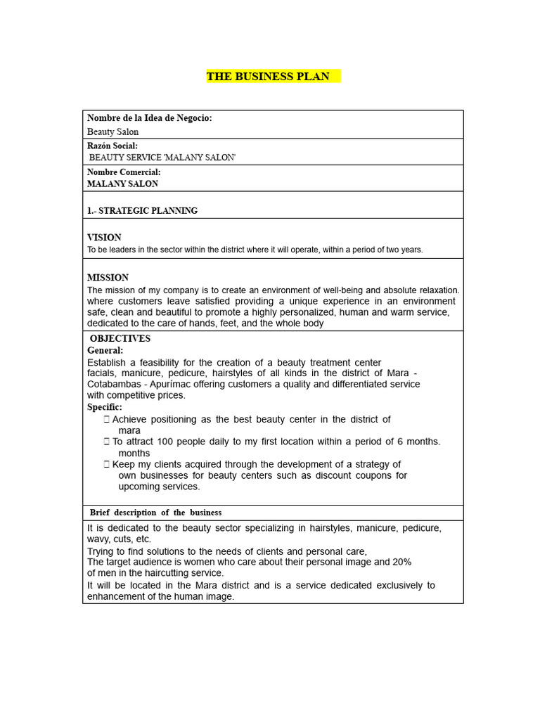 Business Plan | PDF | Hairstyle | Expense