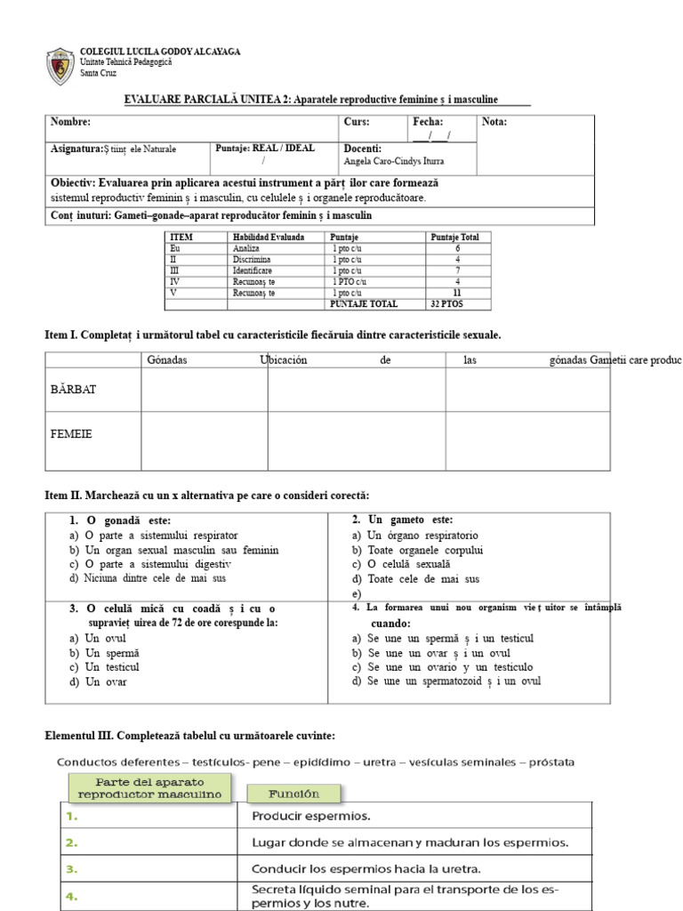 Test de Științe 6ab Aparatul Reproducător Masculin Și Feminin | PDF