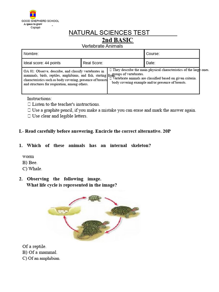 Natural Sciences Test 2 | PDF | Vertebrates | Reptile