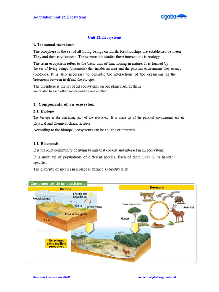Understanding Ecosystems: Key Concepts | PDF | Ecosystem | Natural ...