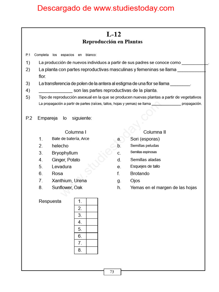Reproducción en Las Plantas | PDF