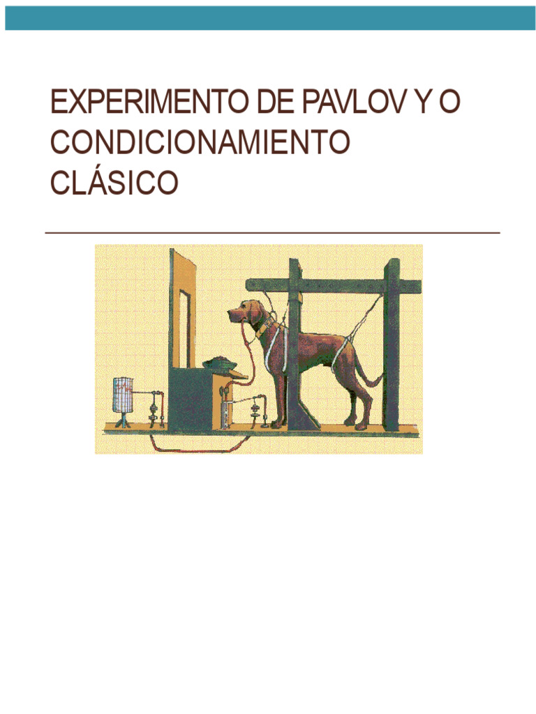 Condicionamiento Clásico de Pavlov | PDF | Condicionamiento clásico ...