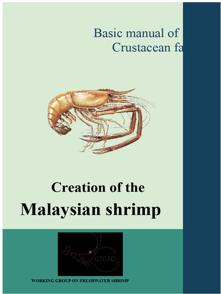 Malaysian Shrimp Farming Guide | PDF | Plant Nursery | Fertilizer