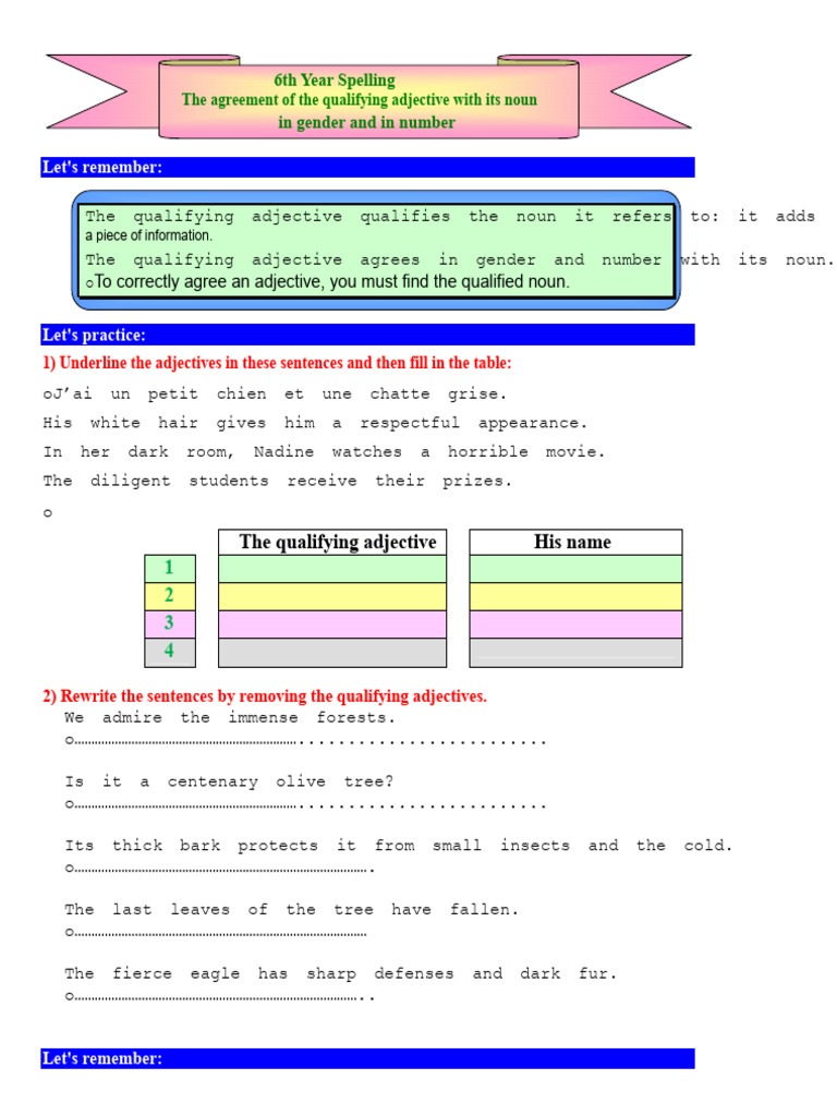 The Agreement of The Qualifying Adjective | PDF | Grammatical Gender ...