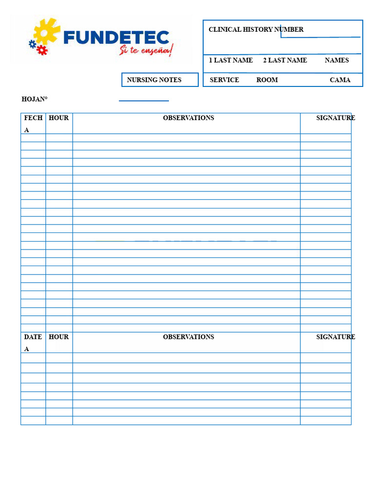 Nursing Notes and Observations Log | PDF