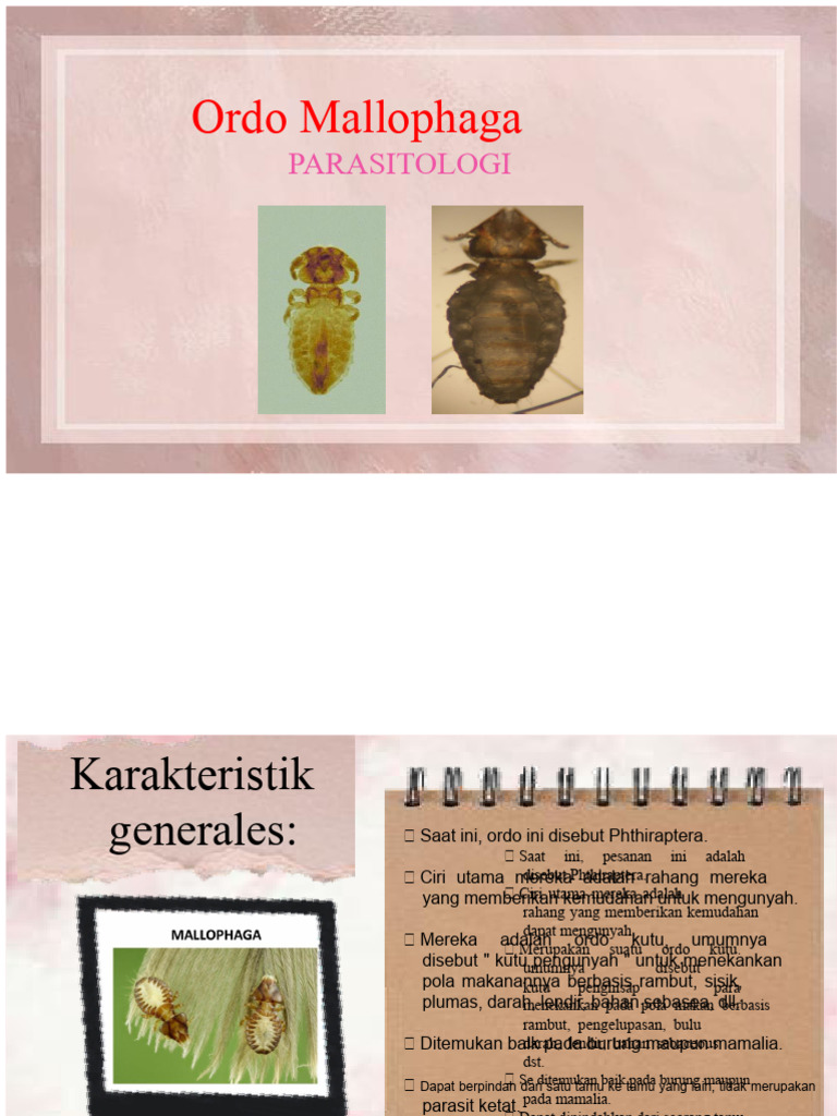 Ordo Mallophaga | PDF