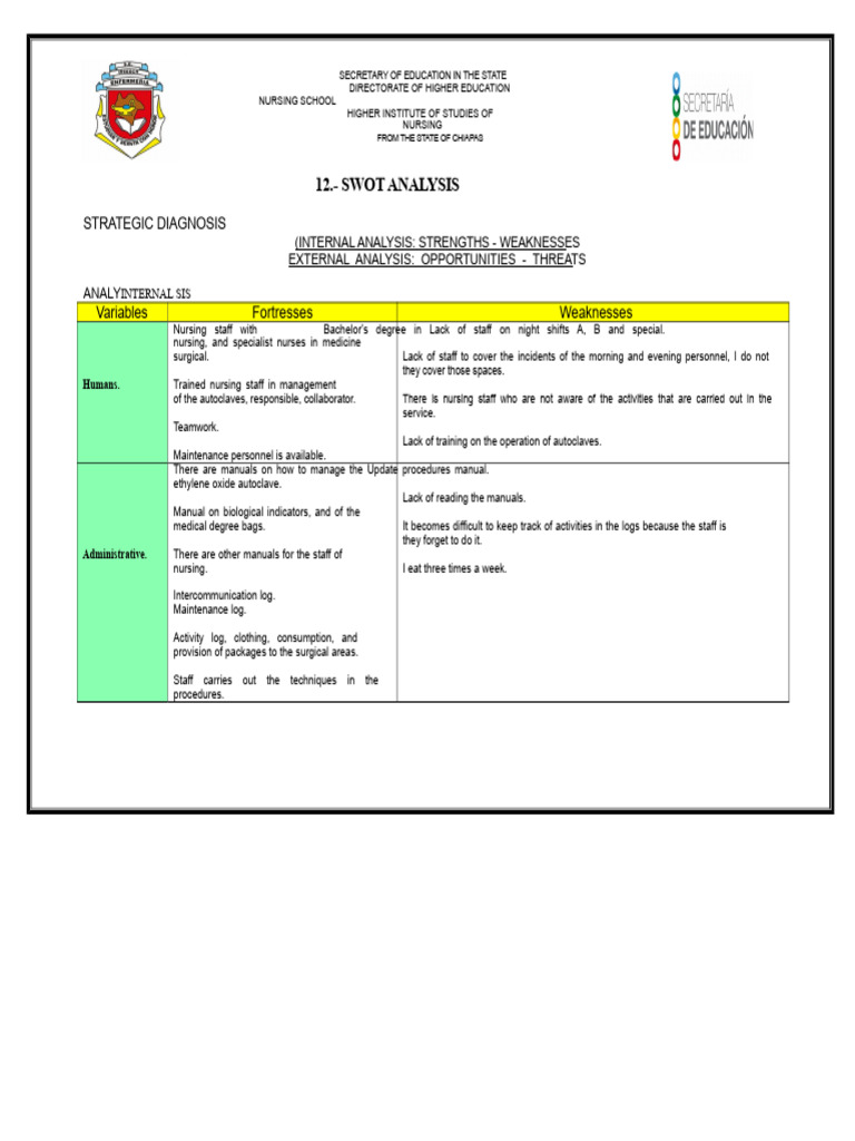 SWOT Matrix | PDF | Swot Analysis | Nursing