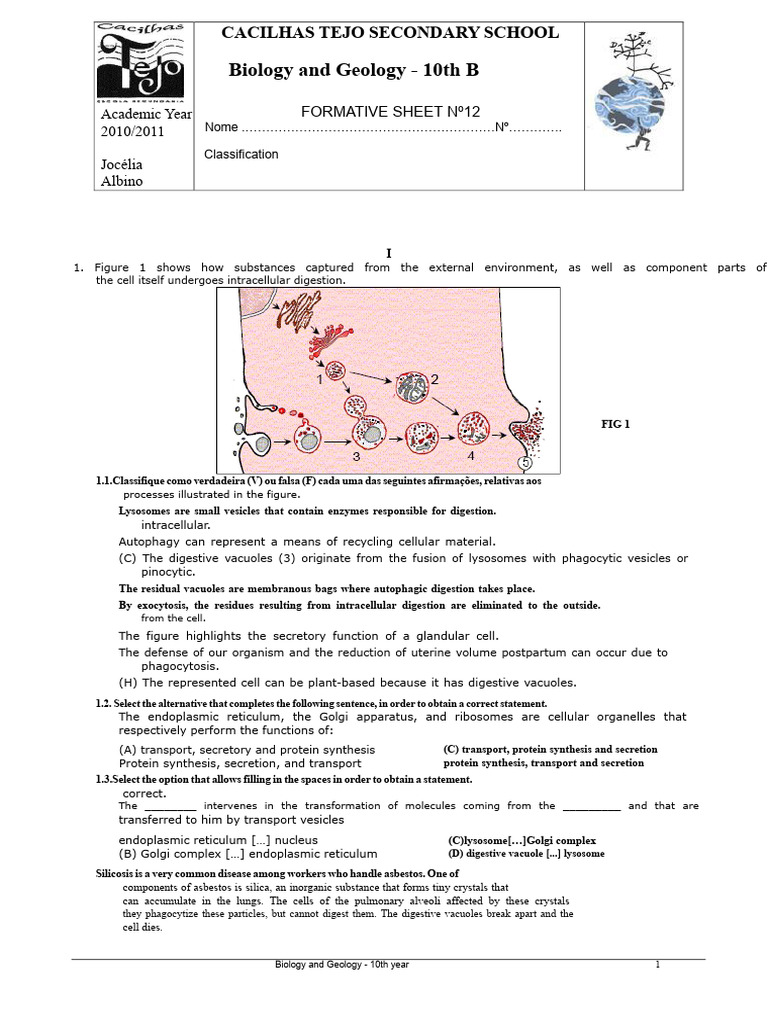 Biology Exercises 10 With Solutions | PDF | Vacuole | Osmosis