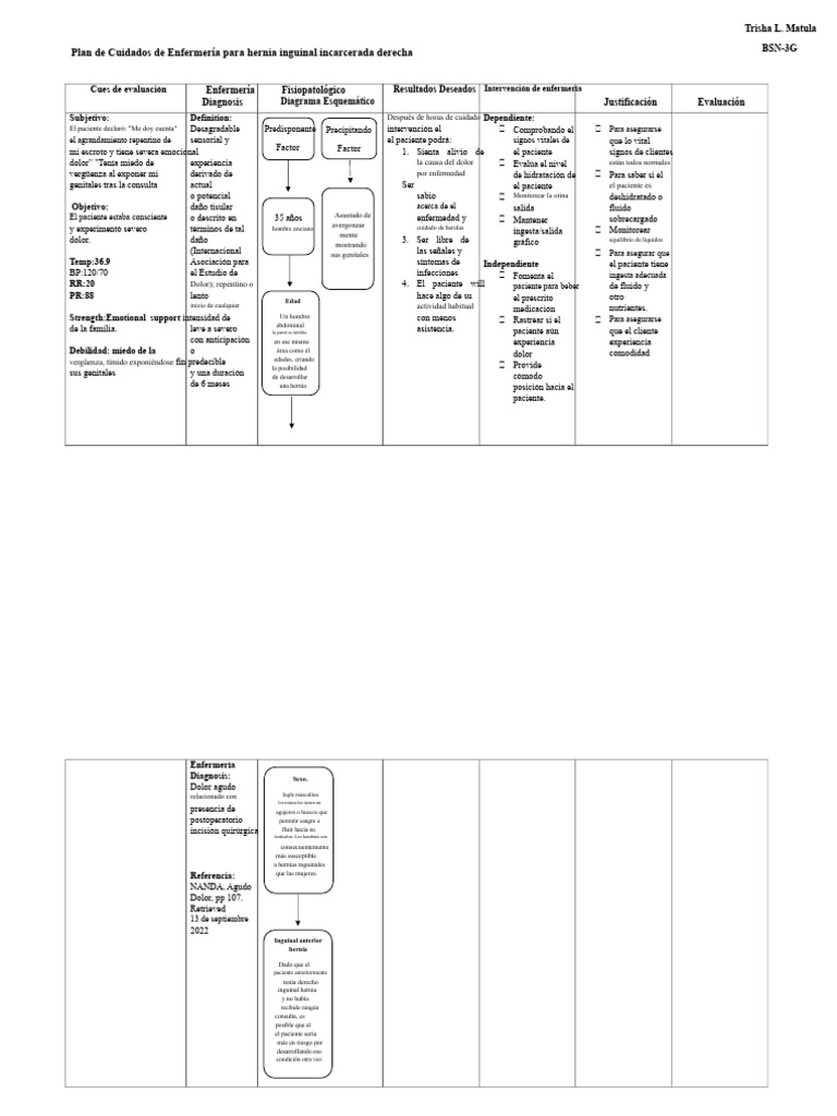 Plan de Cuidados para Hernia Inguinal | PDF | Dolor | Enfermedades y ...