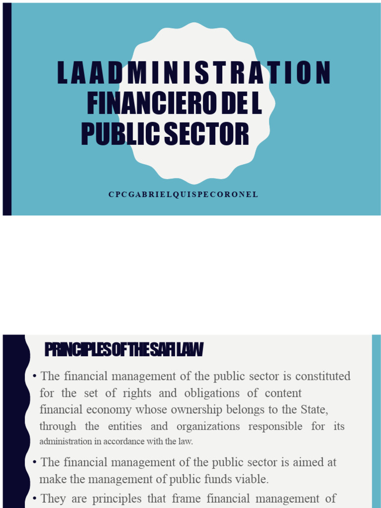 Financial Management of The Public Sector | PDF | Expense | Budget