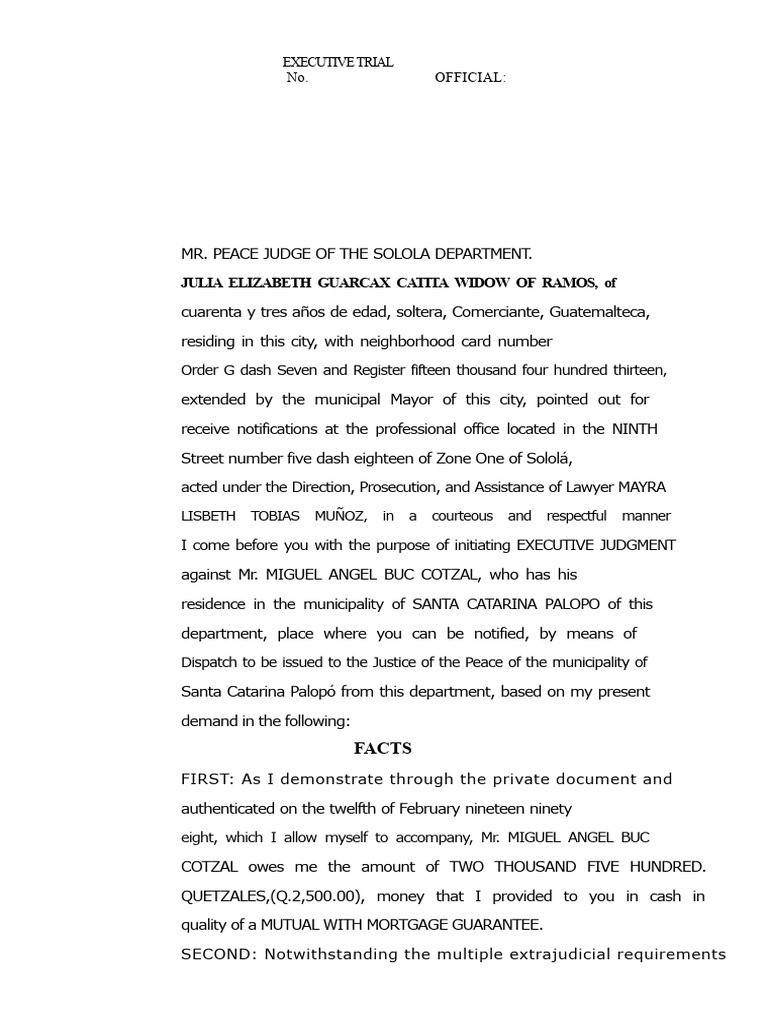 Executive Judgment Model | PDF | Judgment (Law) | Interest