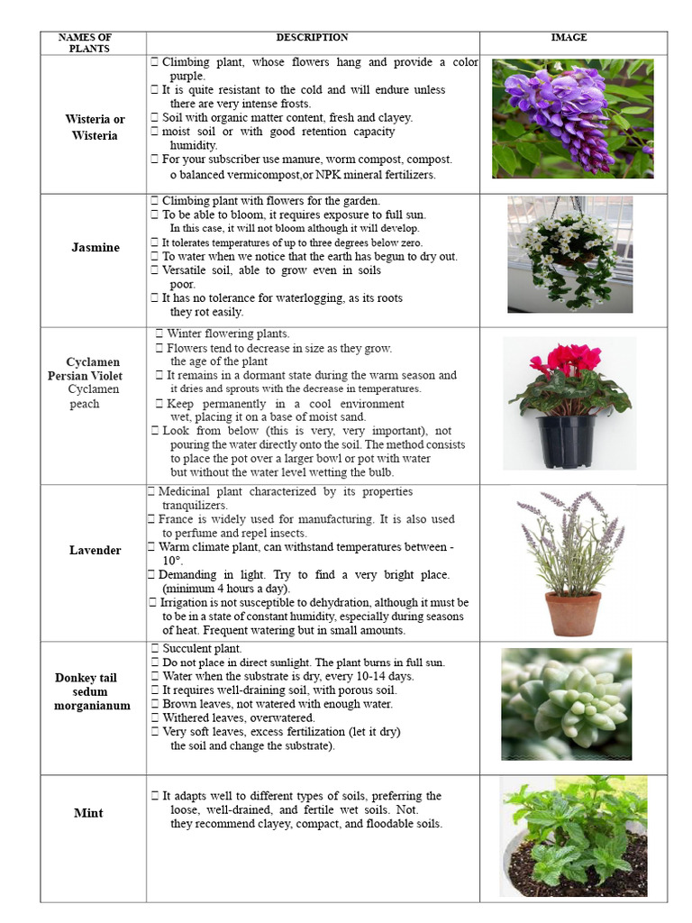 Essential Guide to Climbing Plants | PDF | Soil | Botany