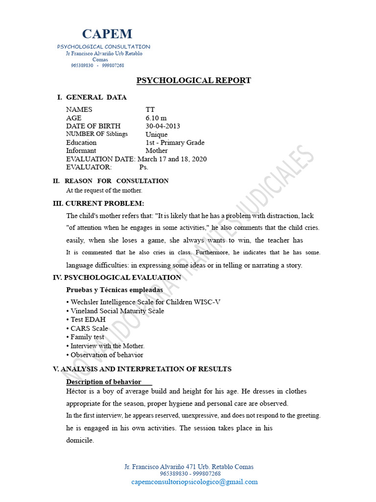 Psychological Evaluation Report for Child | PDF | Memory | Working Memory