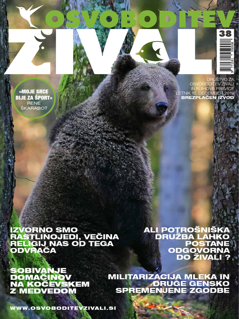 Revija 38 | PDF