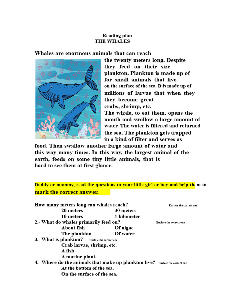 Reader plan The whales Tuesday, November 17 | PDF