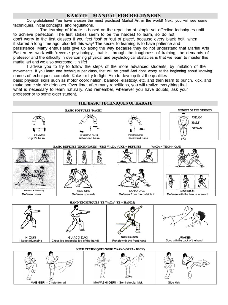 Karate Manual For Beginners 2015 PDF | PDF | Karate | Shotokan