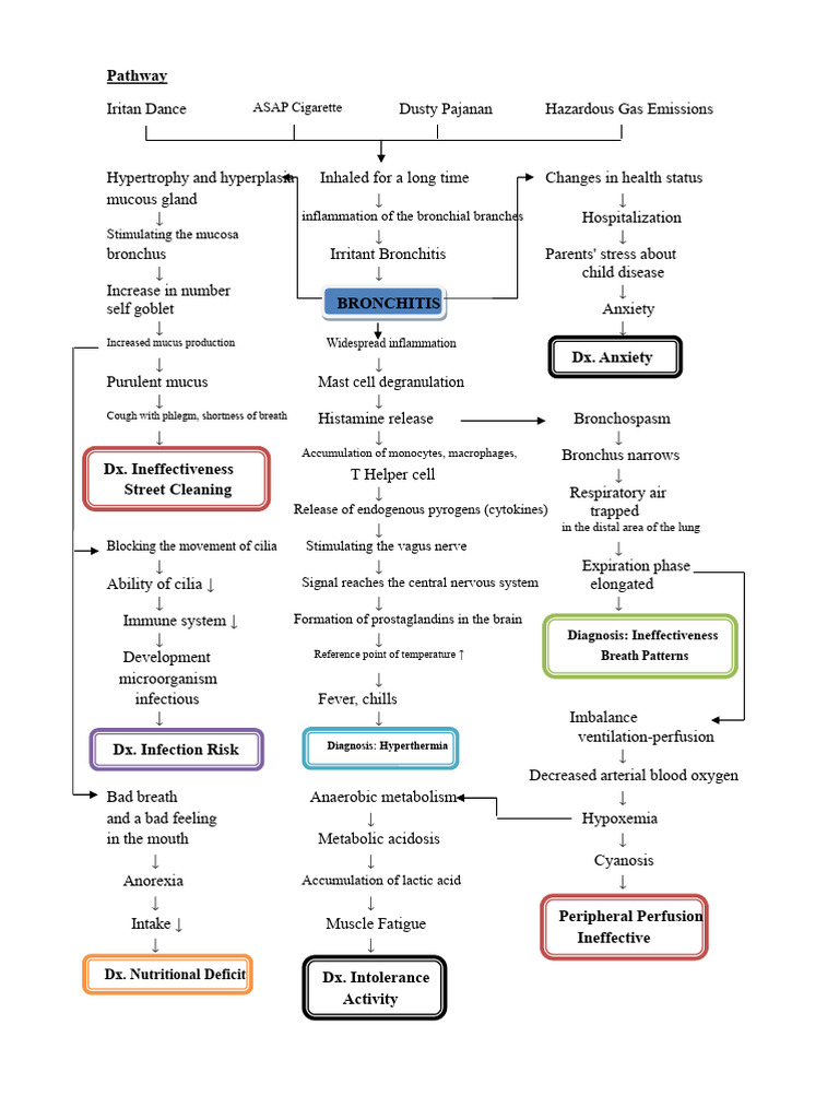 Bronchitis Pathway | PDF | Bronchitis | Mucus