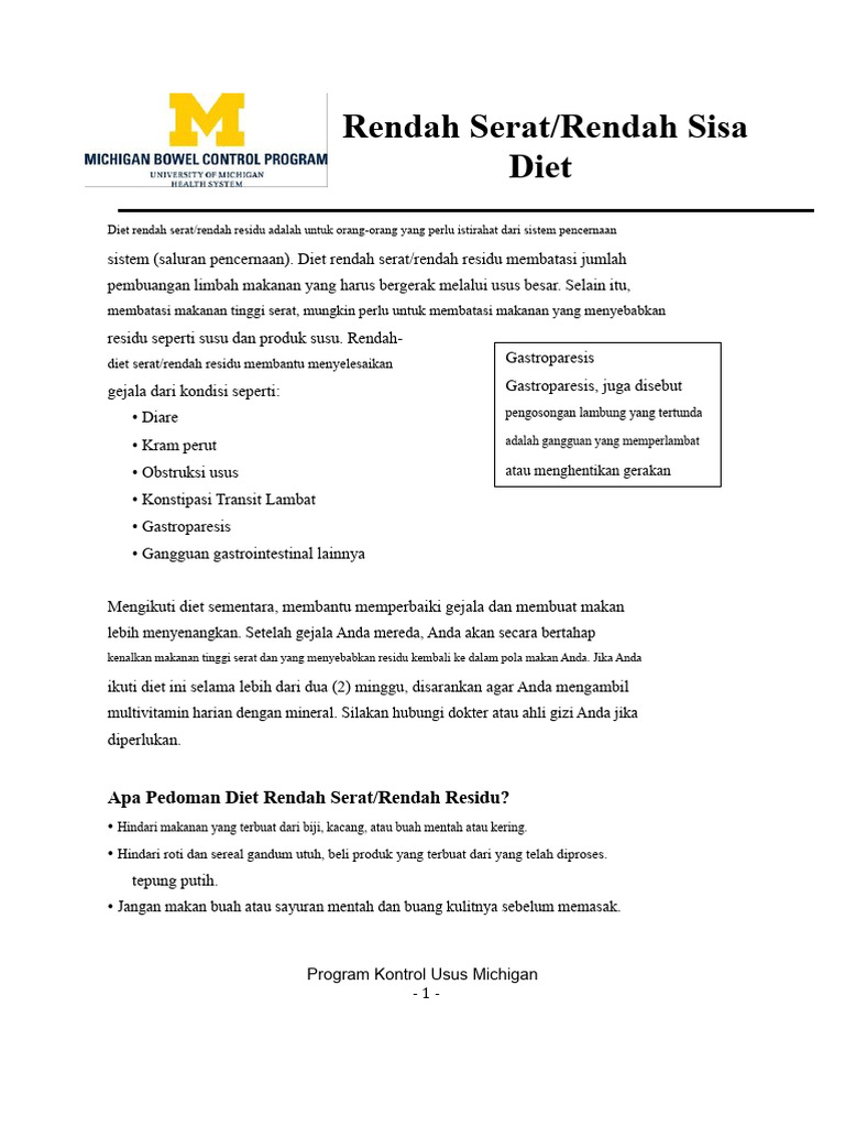 Panduan Diet Rendah Serat dan Residu | PDF