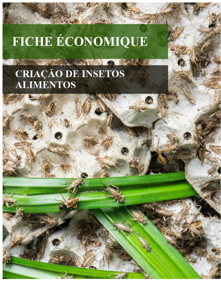 Economia da Criação de Insetos Urbanos | PDF | Desperdício | Agricultura